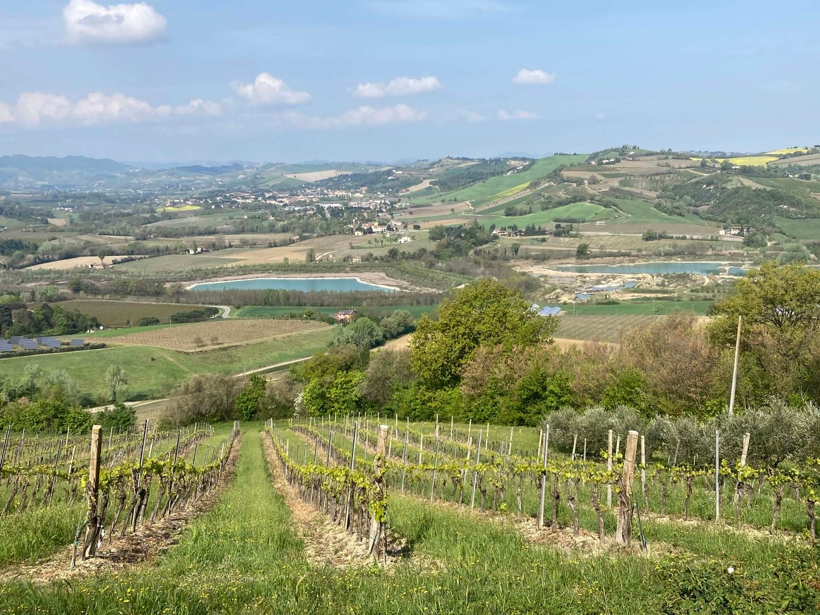 Strade di campagna, da Vernelli a Pideura – Domenico Sportelli